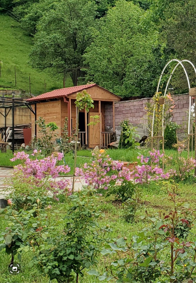 სასტუმრო დიოსკურია ბორჯომი - dioscuria Borjomi